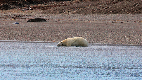 Touche’s Second Expedition to Svalbard – Blue Water Sailing