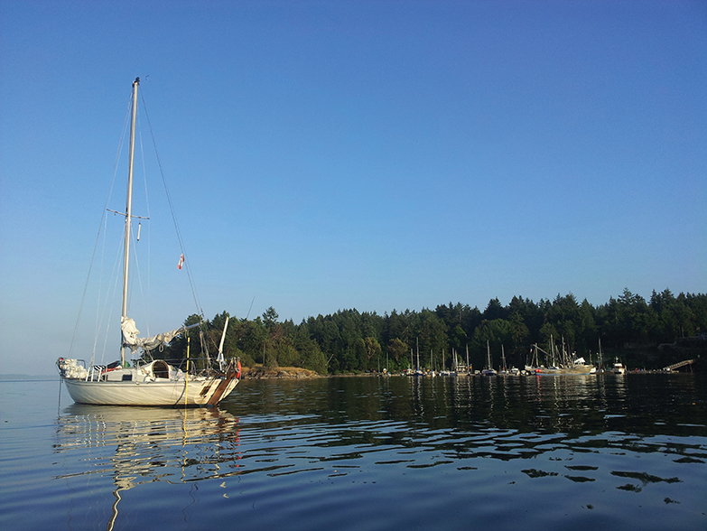 Running Dodd Narrows Under Sail – Blue Water Sailing